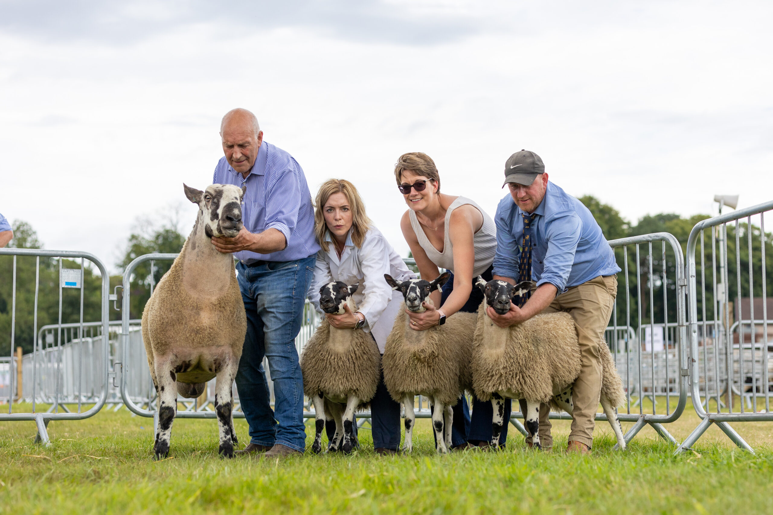 Turriff Progeny Show - Crossing Type - 2024 | Bluefaced Leicester Sheep ...